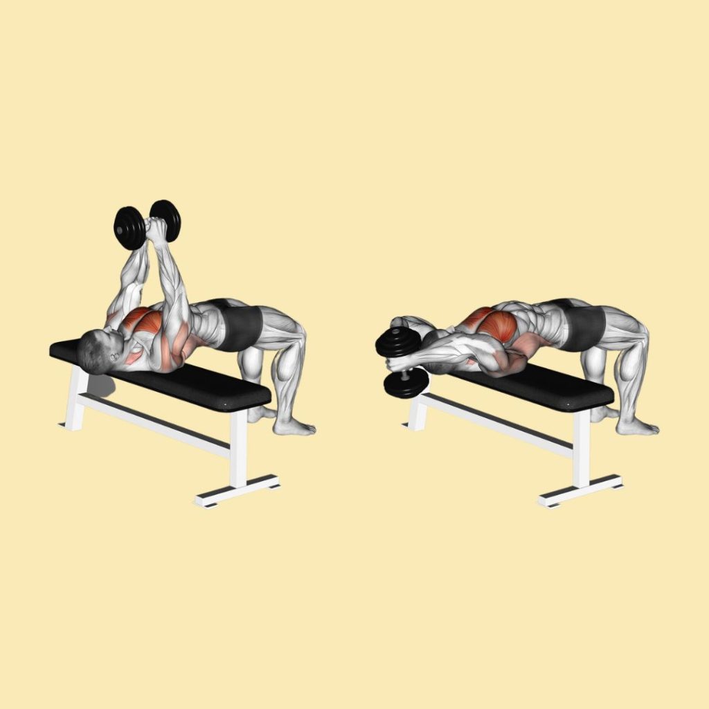 9 Best Dumbbell Lat Exercises You Can Do At Your Own Space