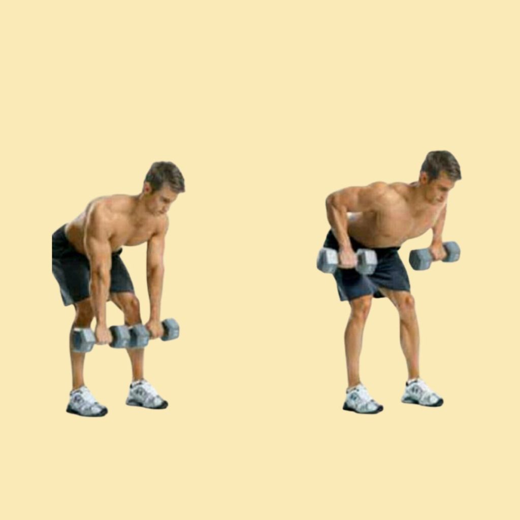 9 Best Dumbbell Lat Exercises You Can Do At Your Own Space