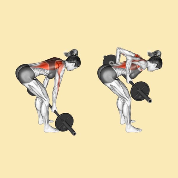 9 Best Dumbbell Lat Exercises You Can Do At Your Own Space