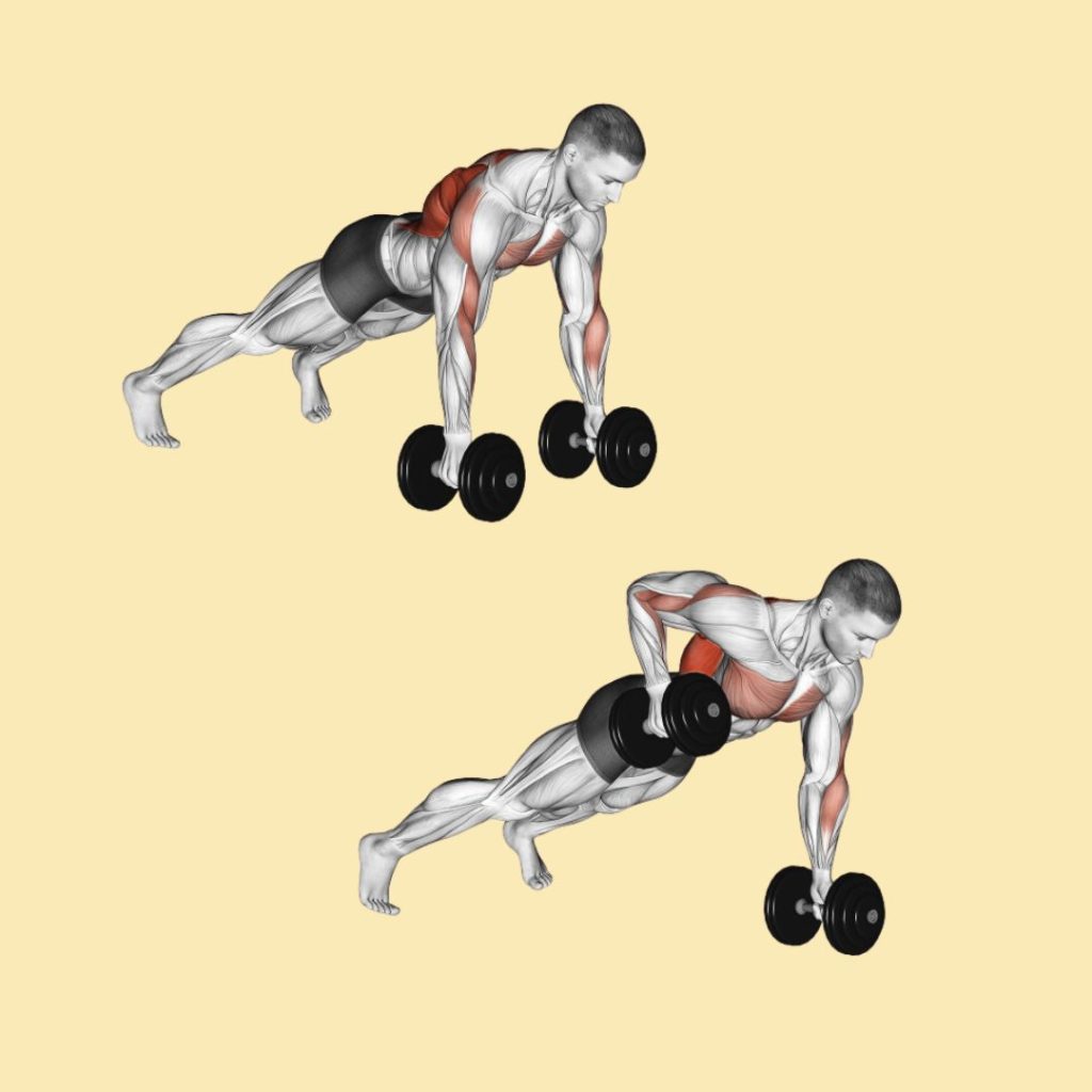 9 Best Dumbbell Lat Exercises You Can Do At Your Own Space