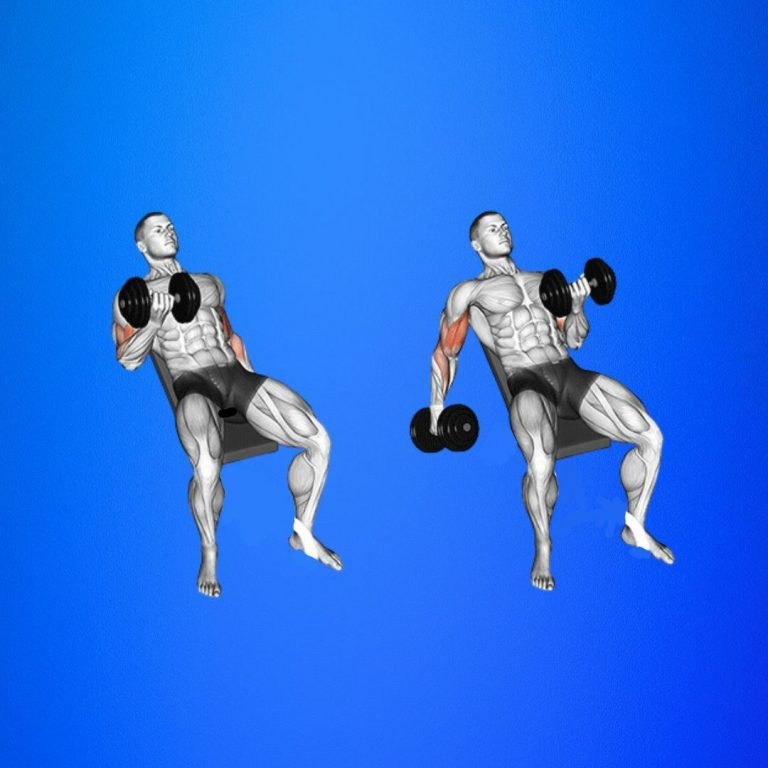 Shoulder And Bicep Workouts: Learn How To Properly Do Them?