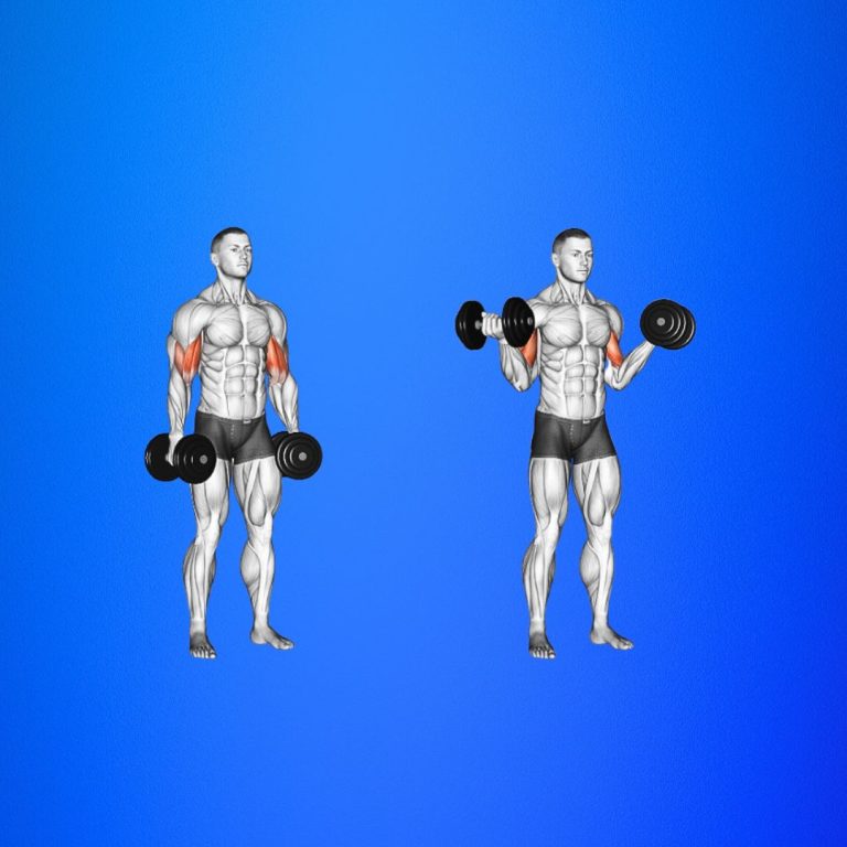 Shoulder And Bicep Workouts: Learn How To Properly Do Them?
