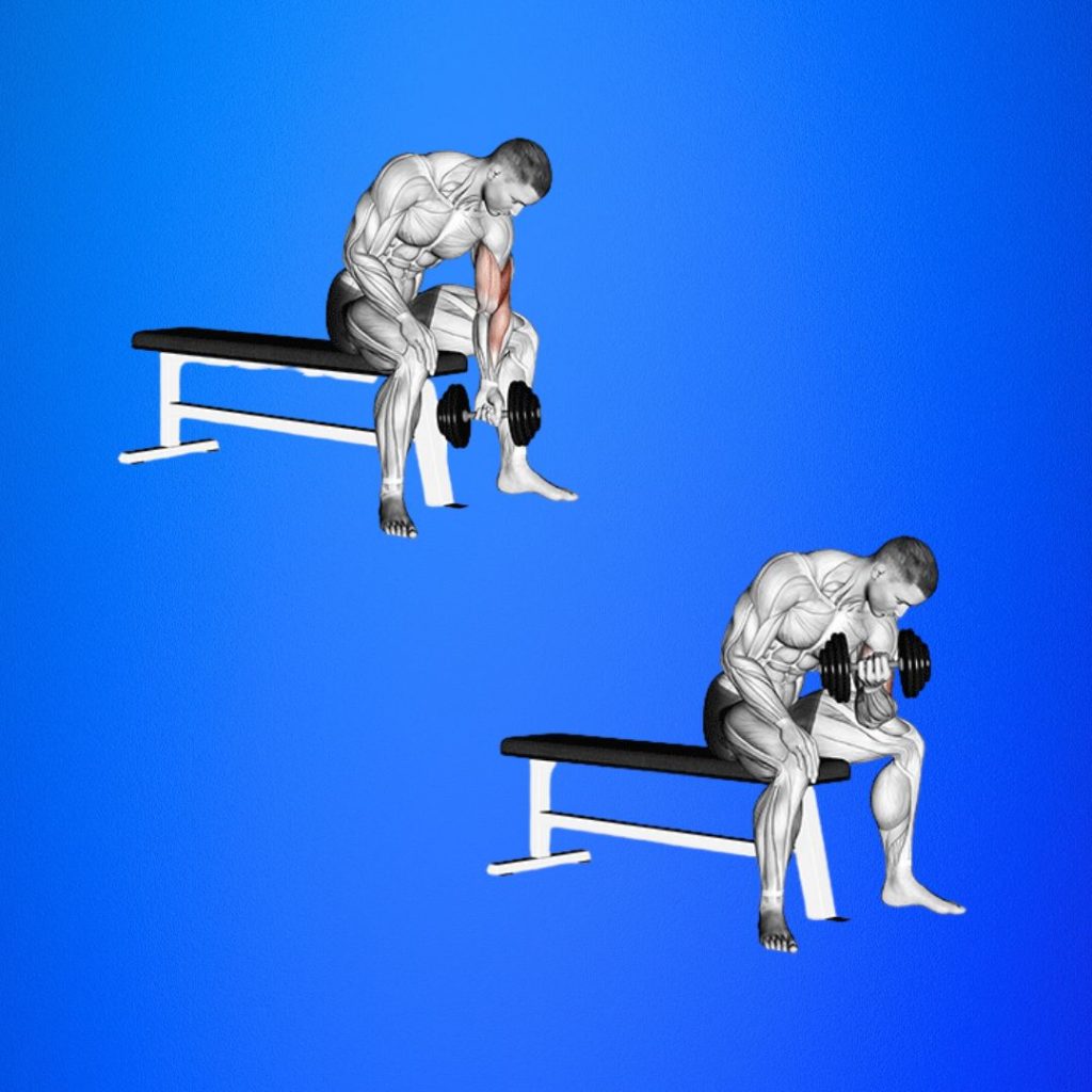 Shoulder And Bicep Workouts: Learn How To Properly Do Them?