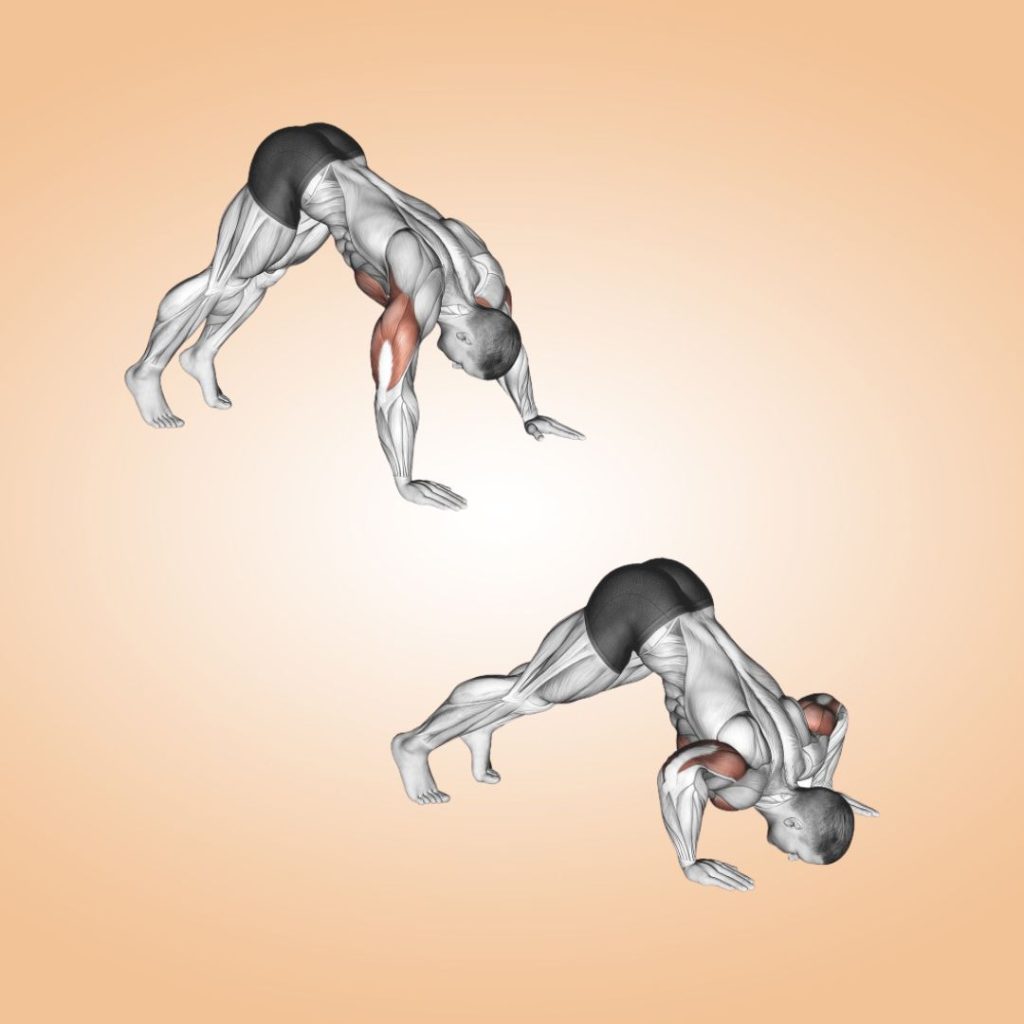 Shoulder And Bicep Workouts: Learn How To Properly Do Them?