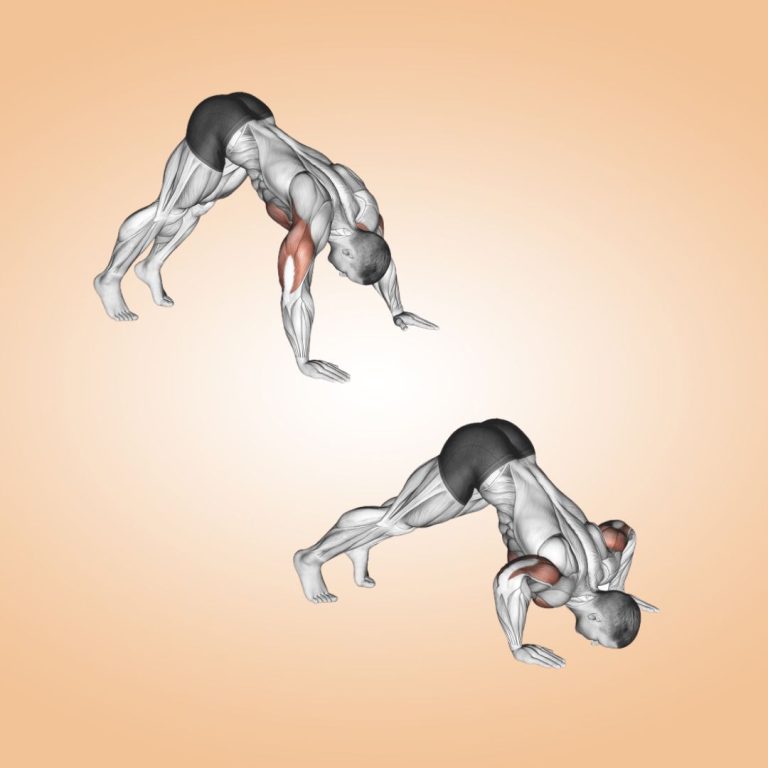 Shoulder And Bicep Workouts: Learn How To Properly Do Them?