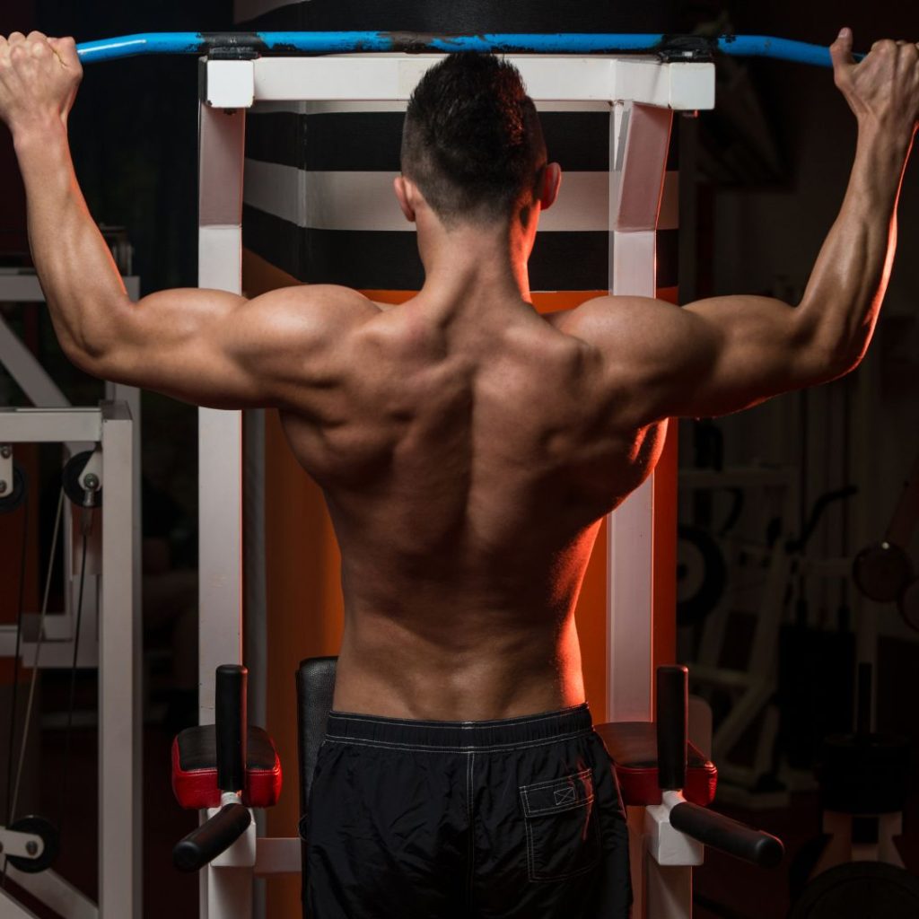 Shoulder And Bicep Workouts: Learn How To Properly Do Them?