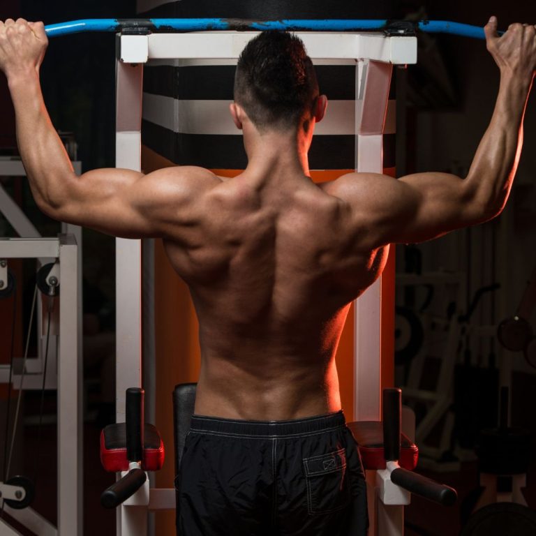 Shoulder And Bicep Workouts: Learn How To Properly Do Them?