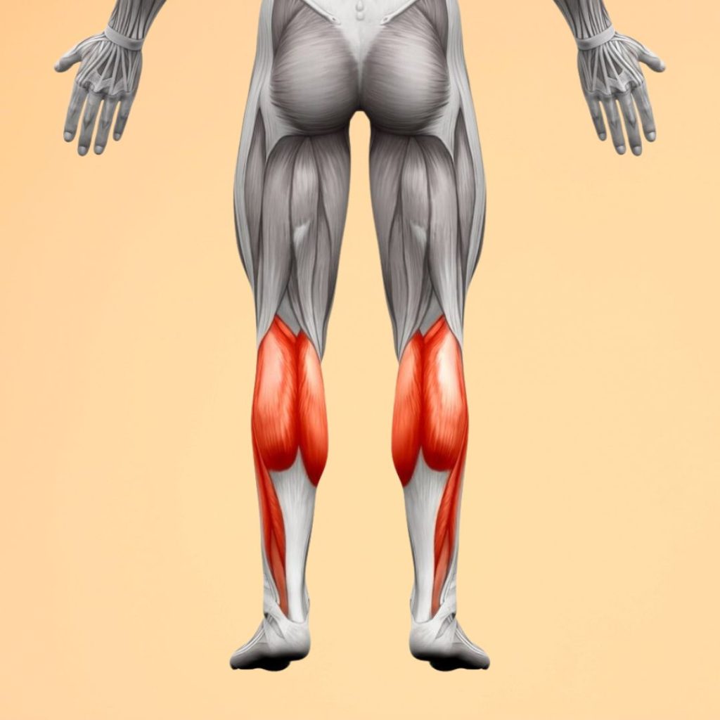 5+ Leg Press Foot Placements To Target Different Muscles