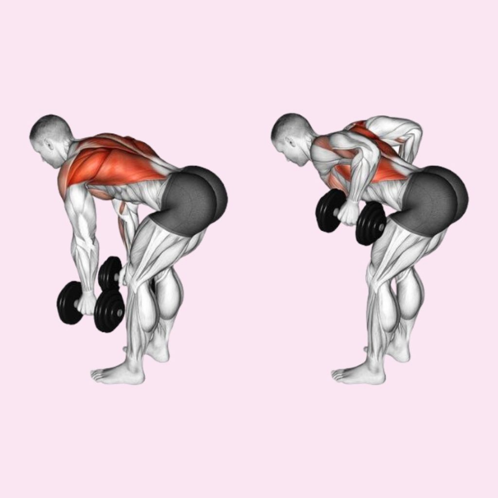 9 Lower Back Dumbbell Exercises (Must Add To Your Routine)