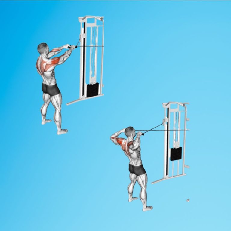 Smith Machine Back Workouts (Must Try) 11 Powerful Exercises