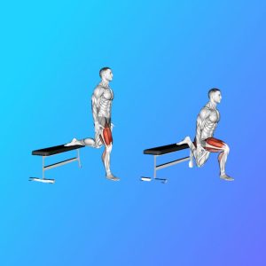 How To Do The Deficit Reverse Lunge? (Master It Like A Pro)