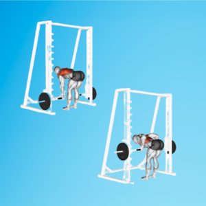 Smith Machine Back Workouts (Must Try) 11 Powerful Exercises