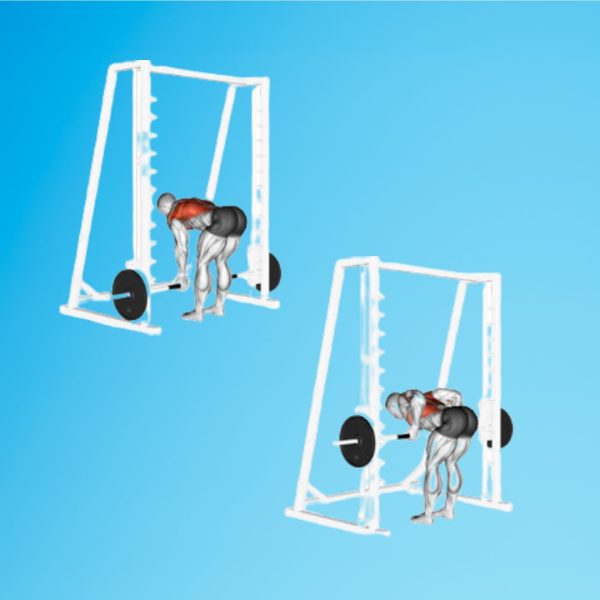 Smith Machine Back Workouts (Must Try) 11 Powerful Exercises