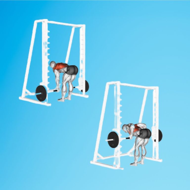 Smith Machine Back Workouts (Must Try) 11 Powerful Exercises