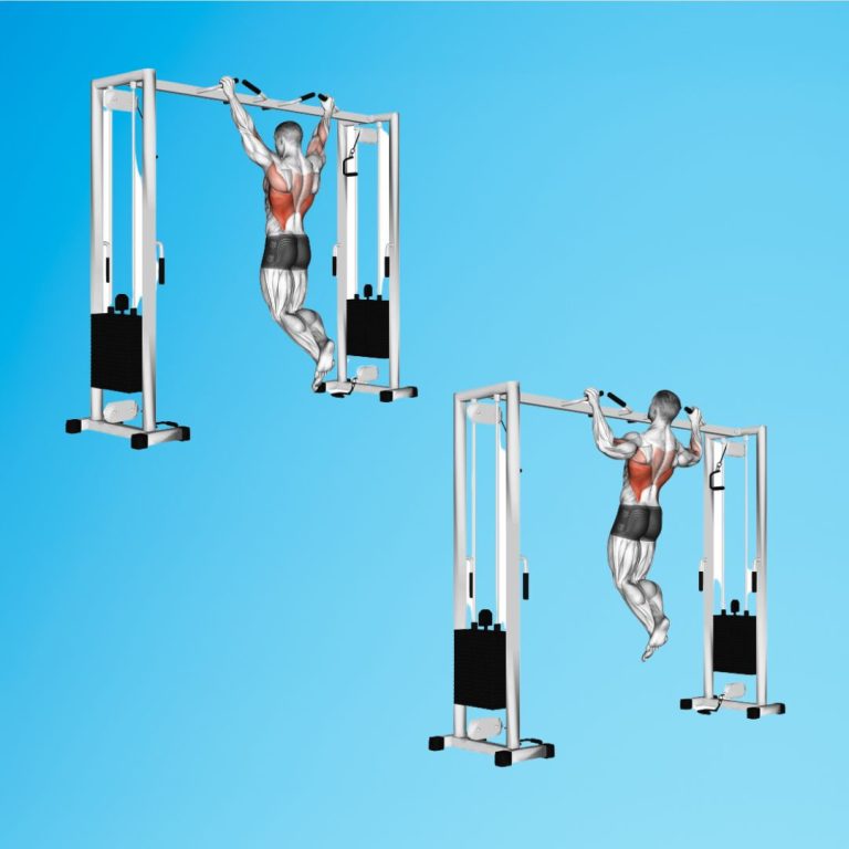 Smith Machine Back Workouts (Must Try) 11 Powerful Exercises