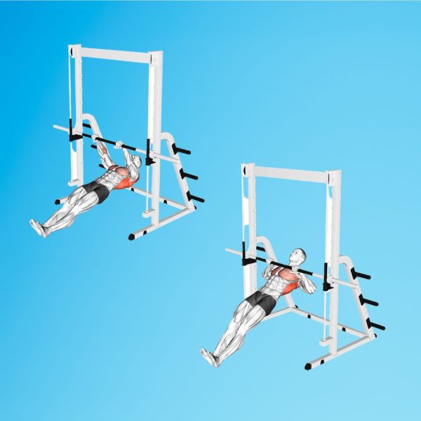 Smith Machine Back Workouts (Must Try) 11 Powerful Exercises