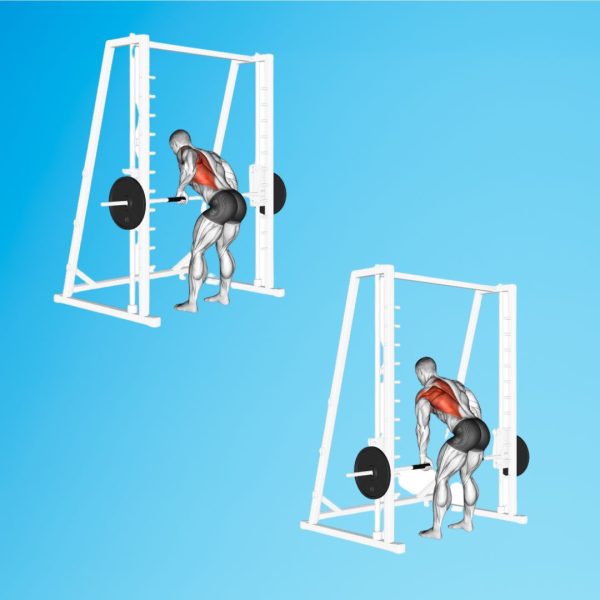 Smith Machine Back Workouts (Must Try) 11 Powerful Exercises