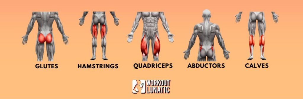 Dumbbell Sumo Deadlift (Variations) Master How To Do It