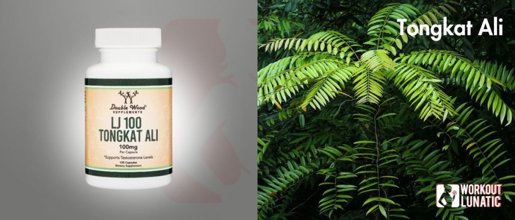 LJ100 Vs Tongkat Ali: What Are The Differences? Explained